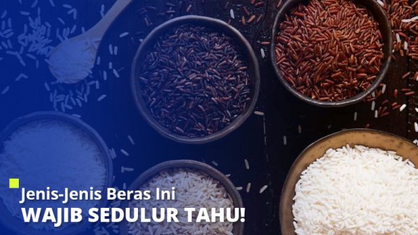 Jenis Jenis Beras Terbaik Khas Indonesia, Wajib Tau!