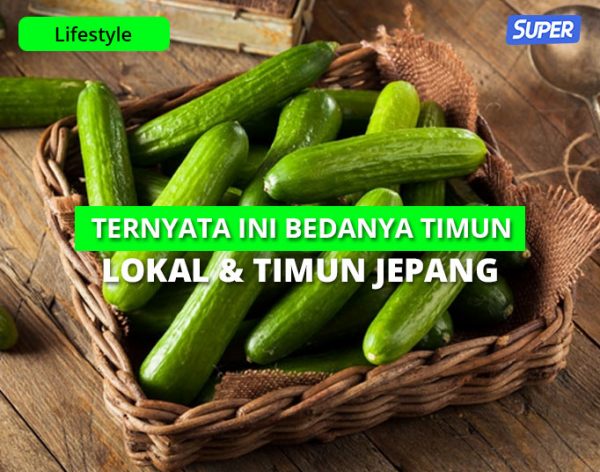 Timun Jepang, Timun Lokal & Zucchini, Simak Perbedaanya