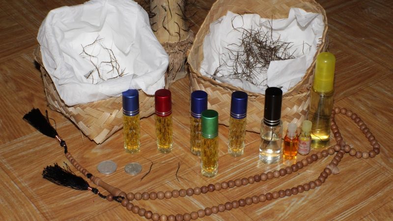 Mengenal Bulu Perindu: Pengertian, Asal-Usul, Ciri & Manfaatnya