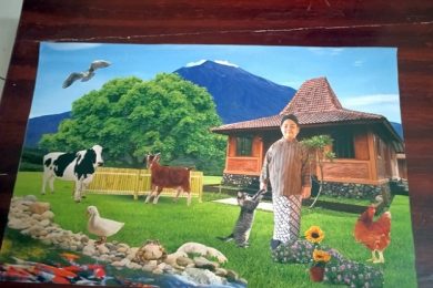 Cara Membuat Montase dengan Mudah & Indah