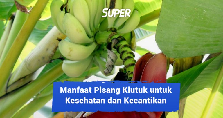 10 Manfaat Pisang Klutuk untuk Kesehatan dan Kecantikan