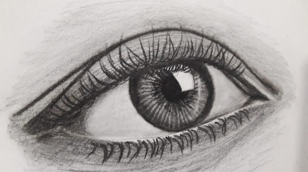 Teknik Dussel: Pengertian, Alat, dan Cara Pengaplikasiannya