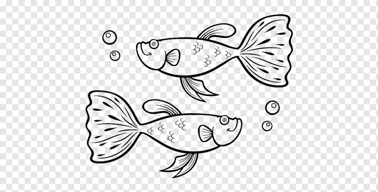 20 Contoh Sketsa Ikan yang Mudah Ditiru untuk Gambar Si Kecil