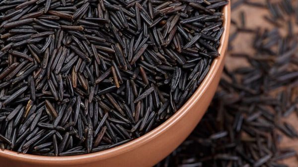 5 Jenis Beras yang Paling Sehat untuk Dikonsumsi