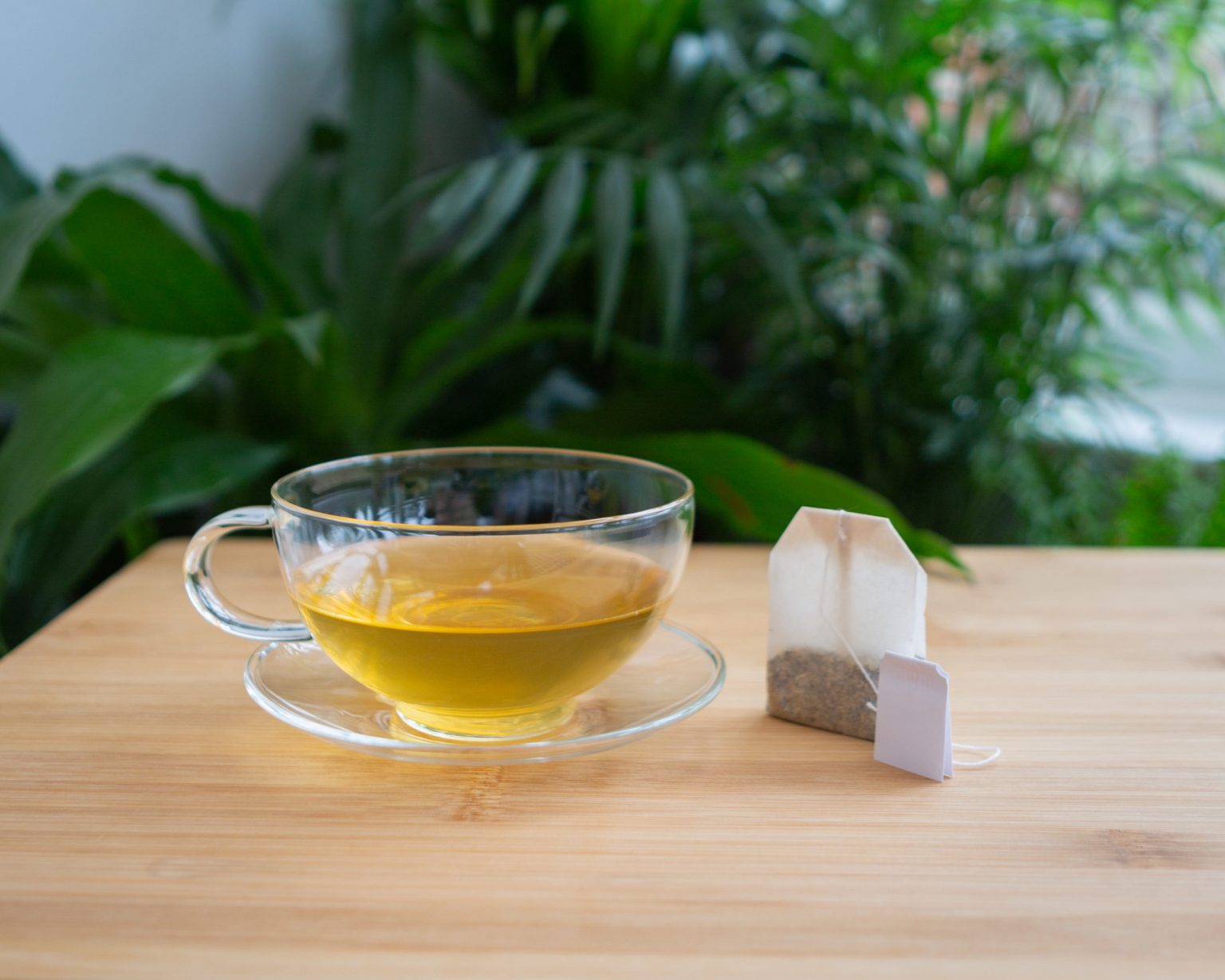 12 Rekomendasi Merk Teh Celup Terbaik dan Terbaru 2023