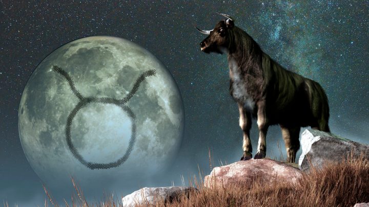 25 Karakter Sifat Zodiak Taurus, Pilih-Pilih dalam Berteman?