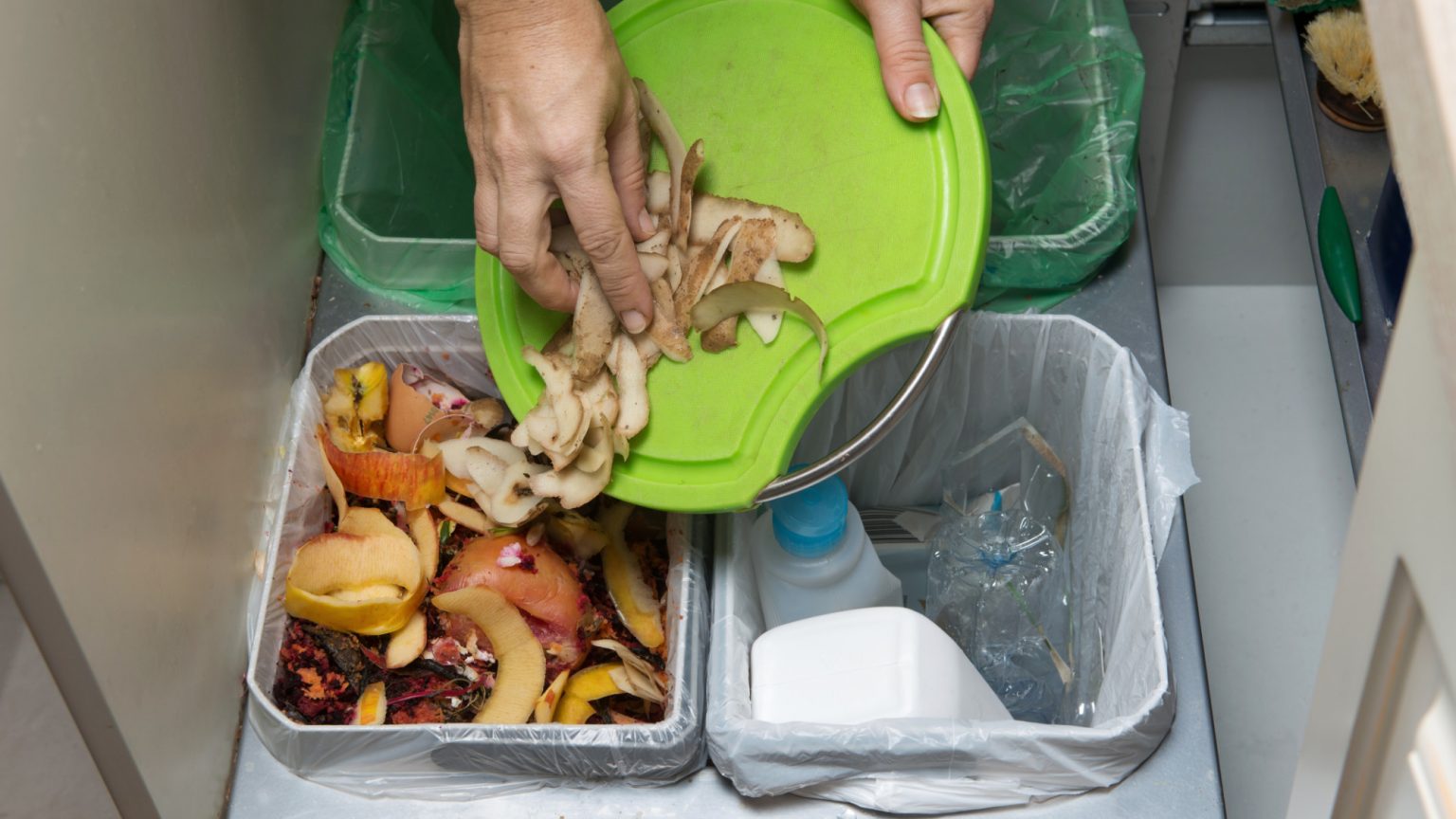 Cara Mengolah Sampah Makanan di Rumah, Agar Berguna!