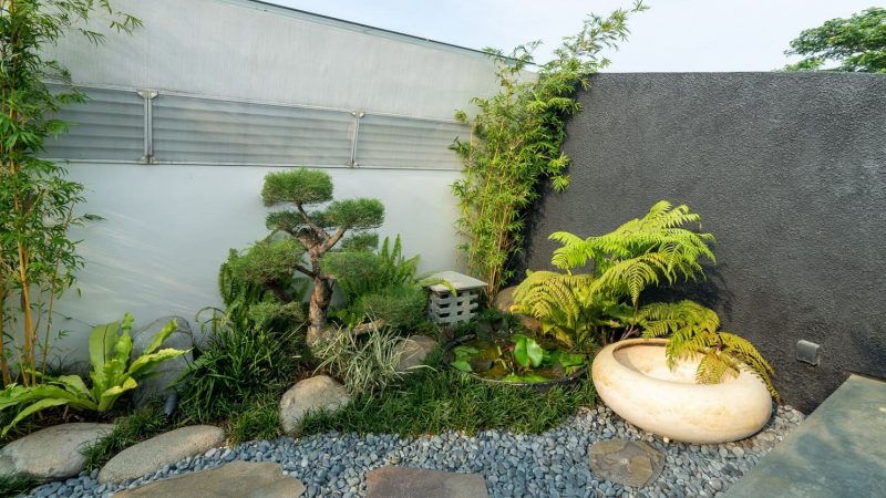 10+ Cara Menata Batu di Taman agar Rumah Tampak Lebih Asri