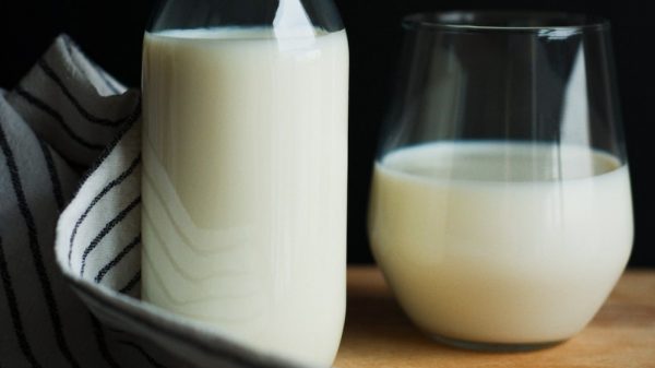 15 Rekomendasi Susu Full Cream Terbaik Sesuai Kebutuhan