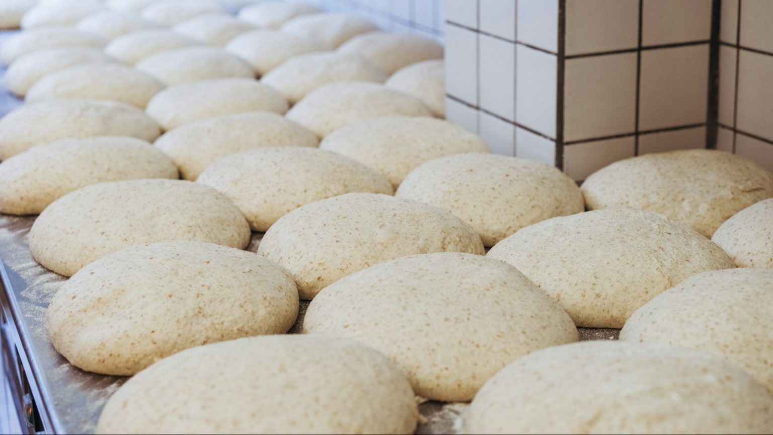 12+ Rekomendasi Merek Ragi Terbaik Beserta Kegunaannya