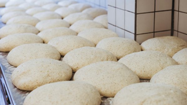 12+ Rekomendasi Merek Ragi Terbaik Beserta Kegunaannya