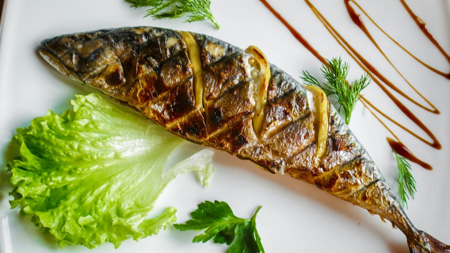 12 Resep Ikan Dencis yang Nikmat dan Mudah Dibuat