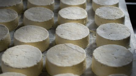 12 Merek Cream Cheese Paling Enak dan Nggak Bikin Enek!