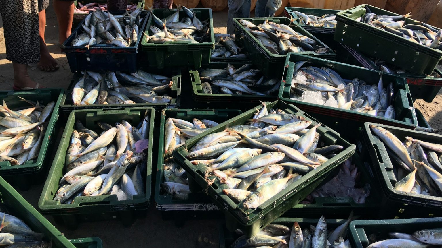 Resep Gabus Pucung Khas Betawi, Cocok untuk Menu Sahur!