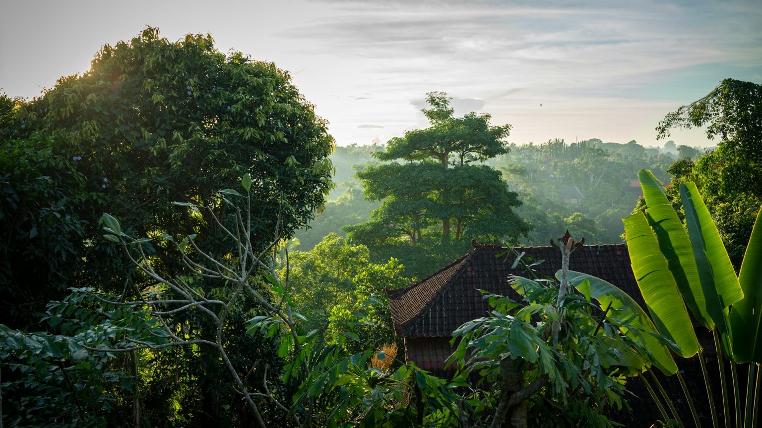 Jolotundo Nganjuk: Lokasi, Jam Buka, Pesona dan Harga Tiket