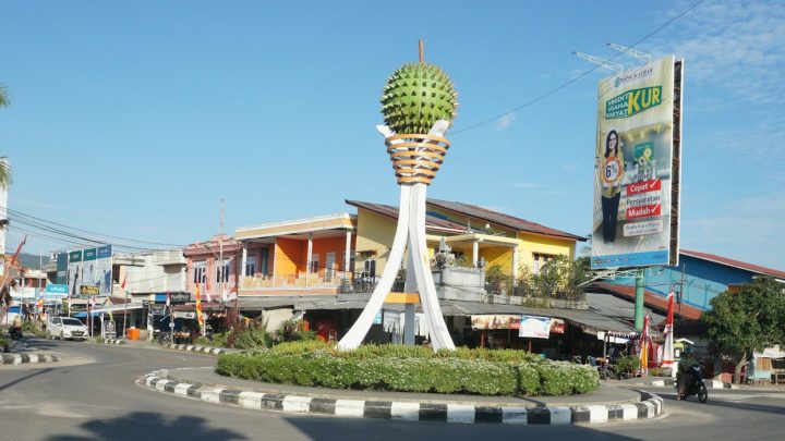Mengenal Kampung Durian Jember, Harga dan Daya Tarik Spesialnya!