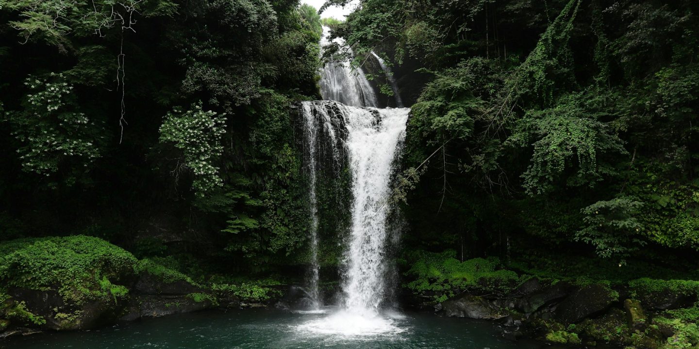 6 Wisata Air Terjun di Wonosalam yang Menyegarkan Mata
